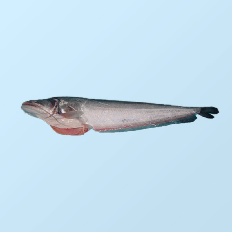 Boal - Grand Wynn Enterprise LTD